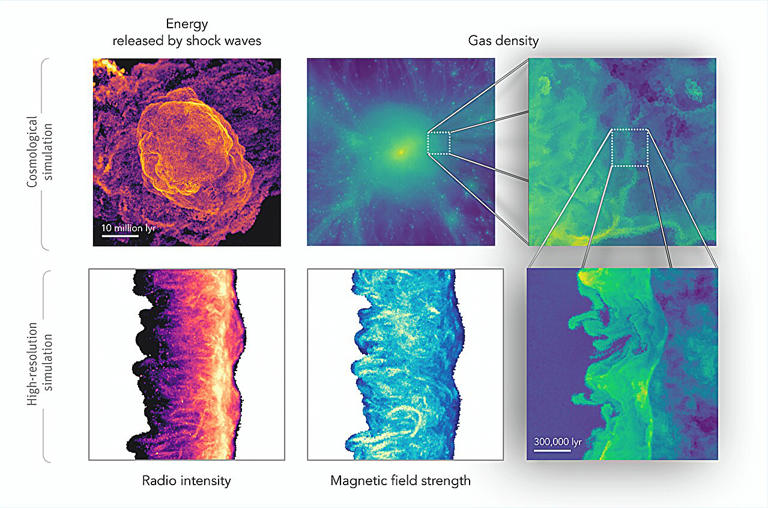 Shocked galaxy clusters: Unraveling the mysteries of radio relics