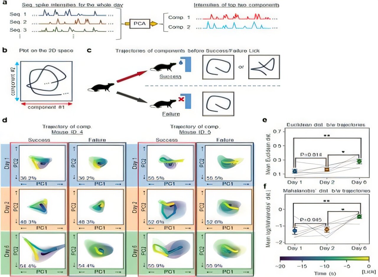 How the brain learns and applies rules: Sequential neuronal dynamics in ...