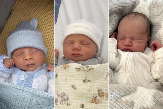 Did you welcome one of the 226 new arrivals in Warrington in October 2025?