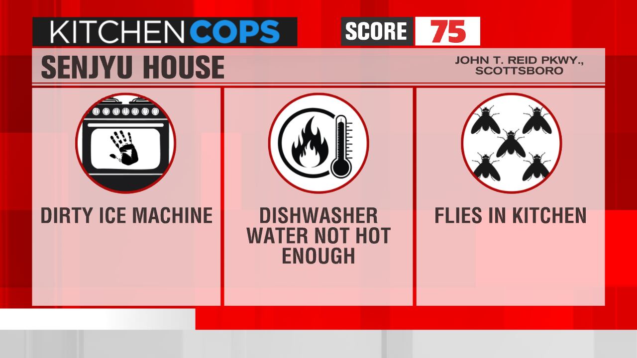 Kitchen Cops find flies in kitchen in Scottsboro restaurant