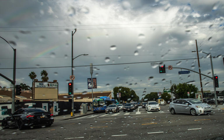 Toppled tree crushes family's pickup in Echo Park neighborhood