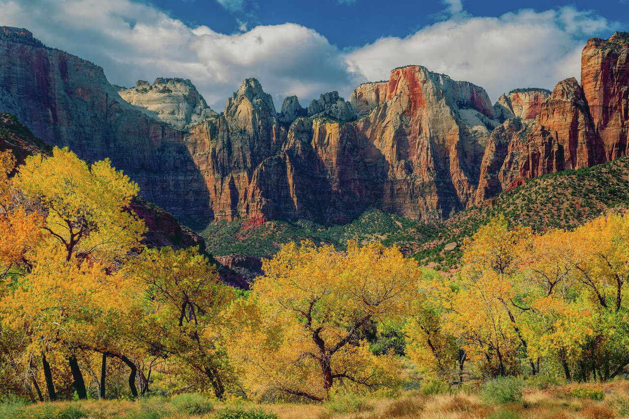 Art led to the creation of this national park. Now it's helping to save it.