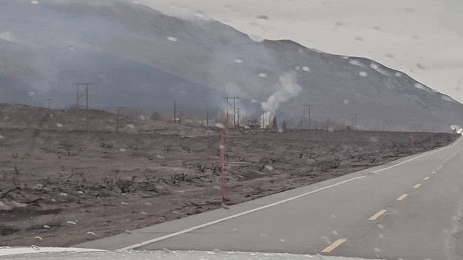 Footage Captures Aftermath of Fast-Spreading Pack Fire