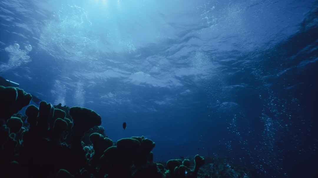 Why The Ocean Is Slowly Losing Its Color