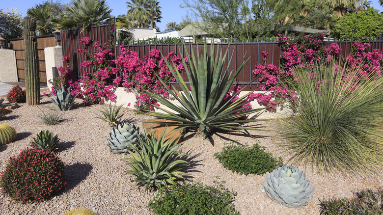 Clever Alternatives To Grass For A No-Mow Garden