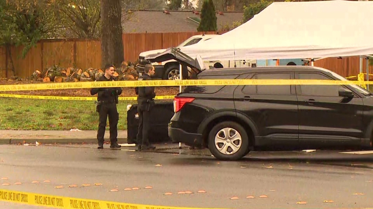 2 teen brothers found dead lying in a crosswalk in Lacey