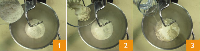 Whole wheat focaccia with sourdough