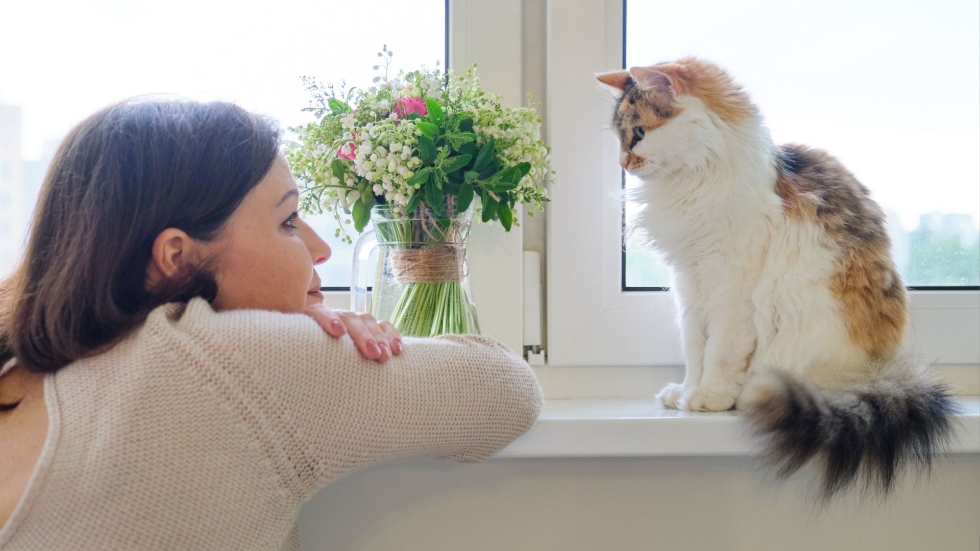 People Who Talk To Cats Like Humans Exhibit These Traits, According To ...