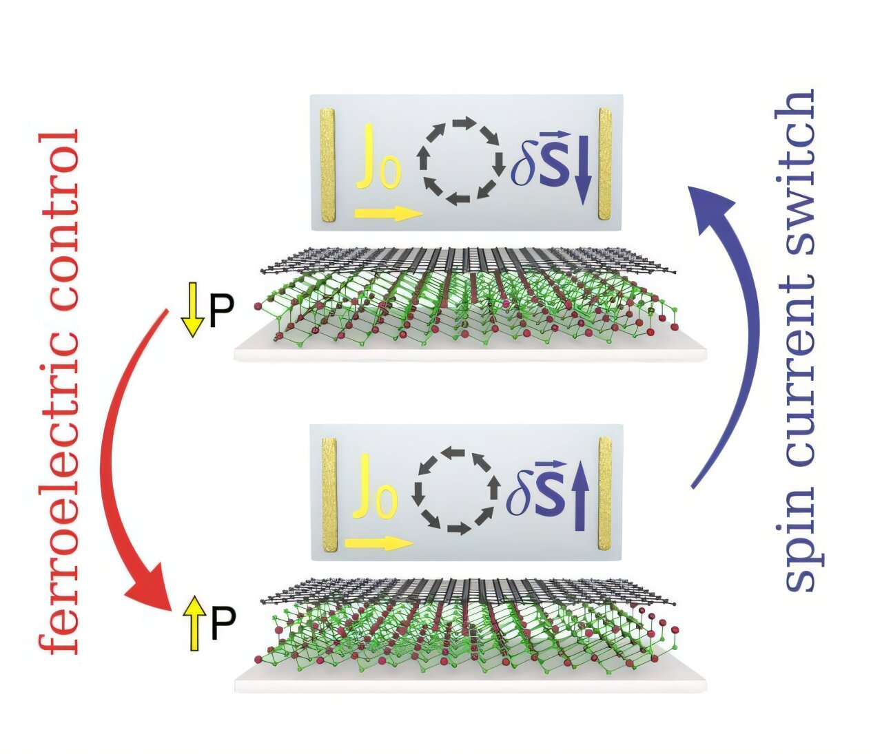 Electrical control of spin currents in graphene via ferroelectric ...
