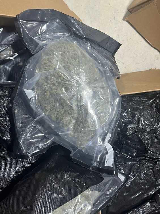 Puckett traffic stop leads to discovery of hundreds of pounds of marijuana