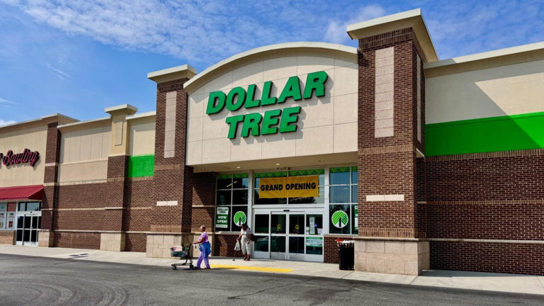 8 Dollar Tree finds that beat Amazon prices