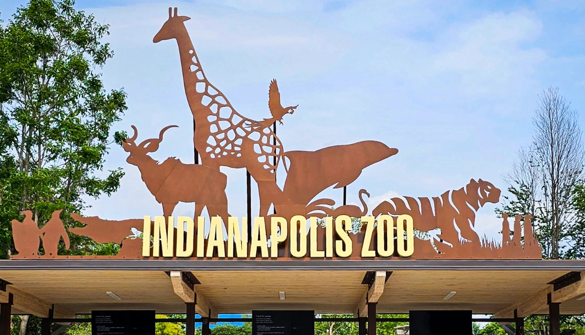 Chimpanzee escapes exhibit at Indianapolis Zoo, forcing brief lockdown