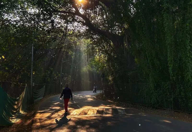 Haveli logs season’s first single-digit minimum in Pune region at 9.7 ...