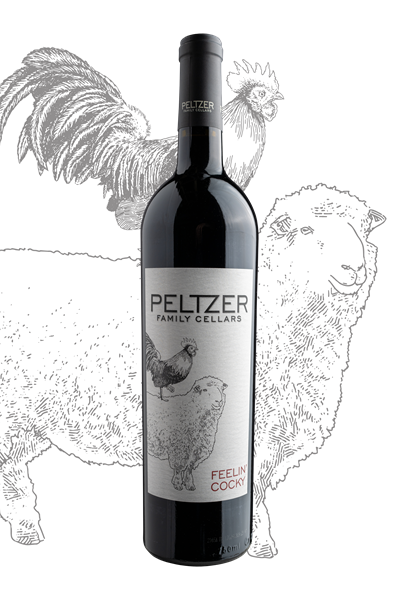 Alex Hall Still 'Selling The OC Season 4' Makes A Home In Temecula ...