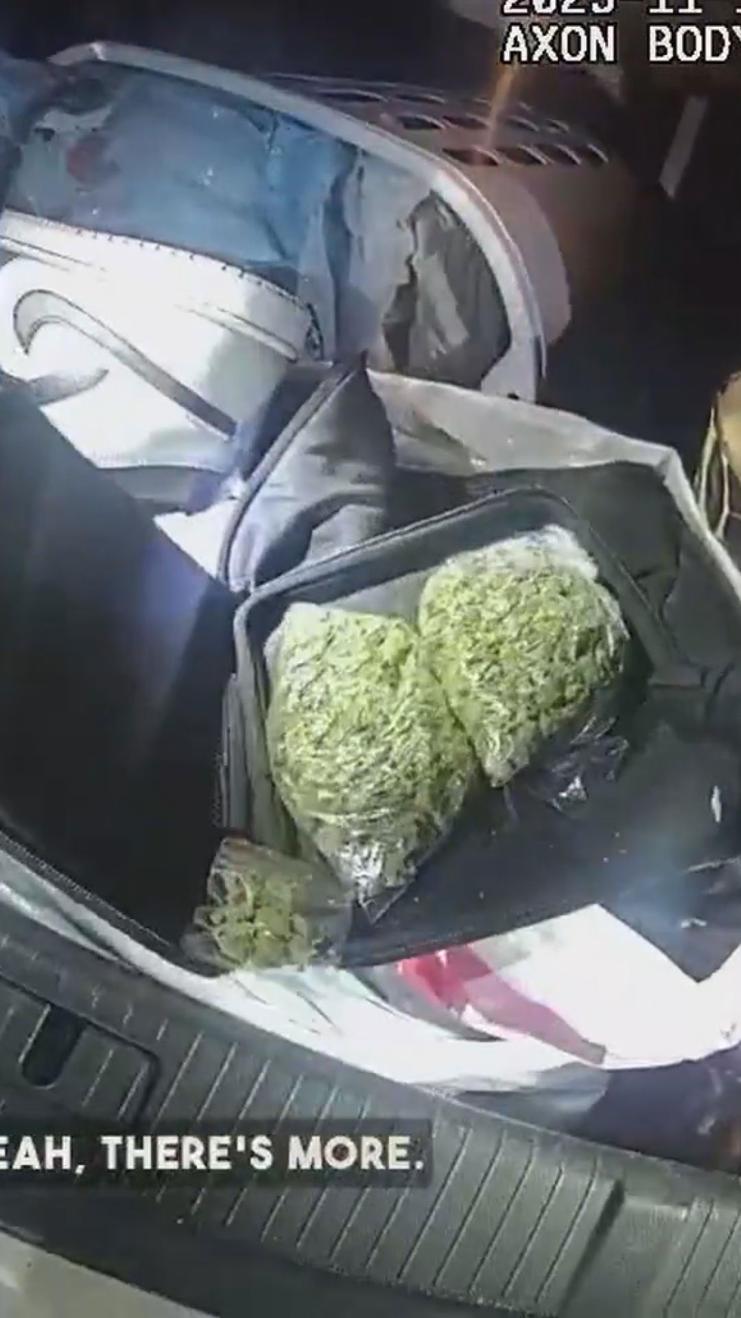 Traffic stop leads to drug trafficking arrest in Florida