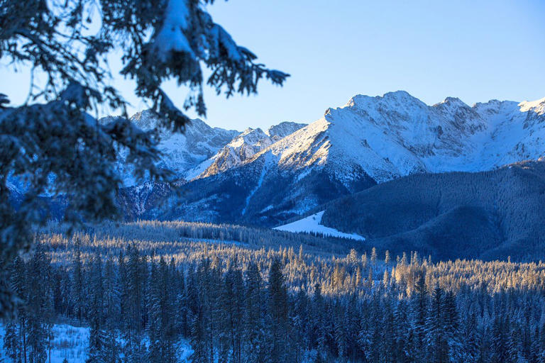 Must-See Road Trip Destinations on 6 Continents