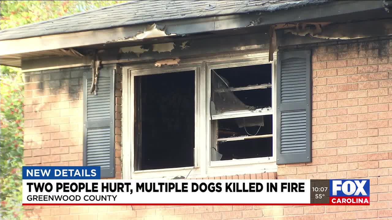 1 resident dead, 1 hurt, several dogs killed in house fire, officials say