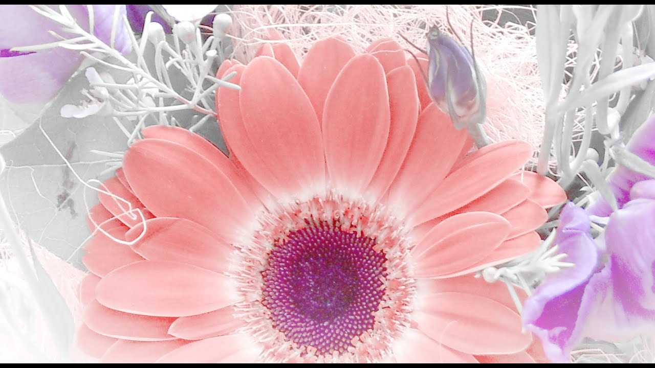 Photoshop: Transform a photo using apply image