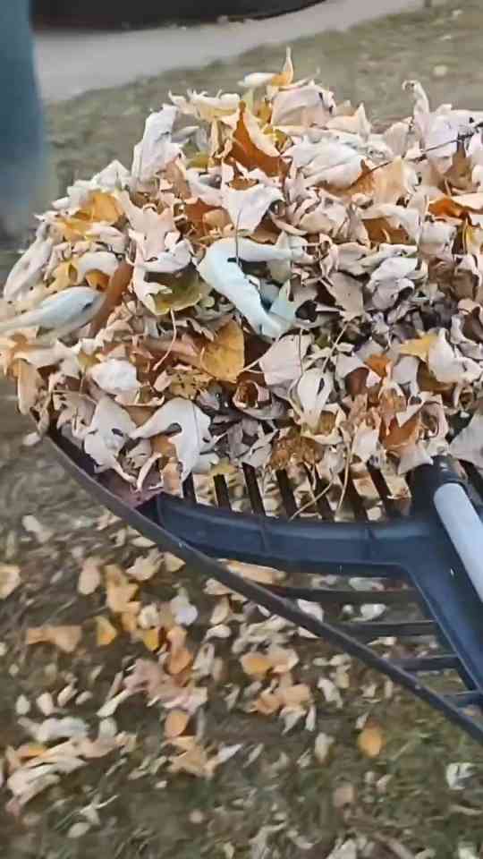 You've been using your Leaf Rake wrong your whole life