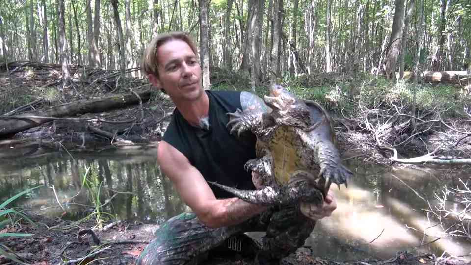 Snapping turtle encounter goes wrong