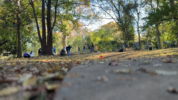 Georgia's rapid population growth is taking a toll on its tree canopy