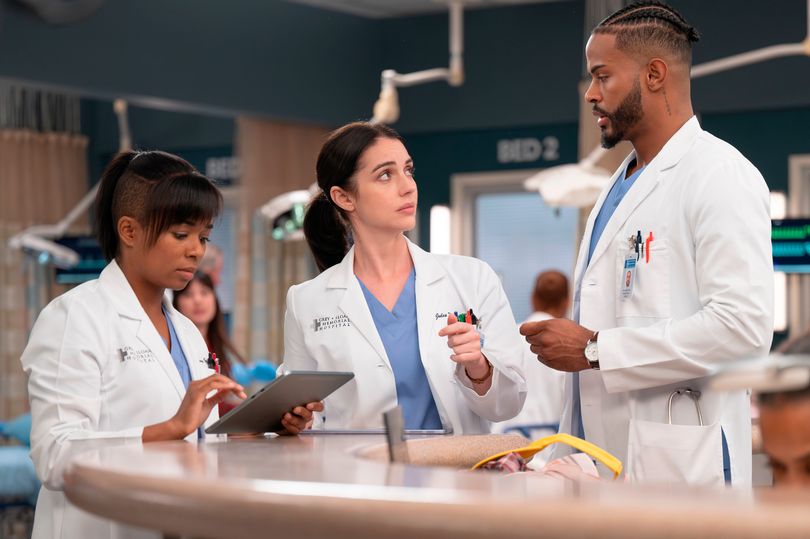 Grey's Anatomy fans demand show to 'pay for therapy' after emotional finale