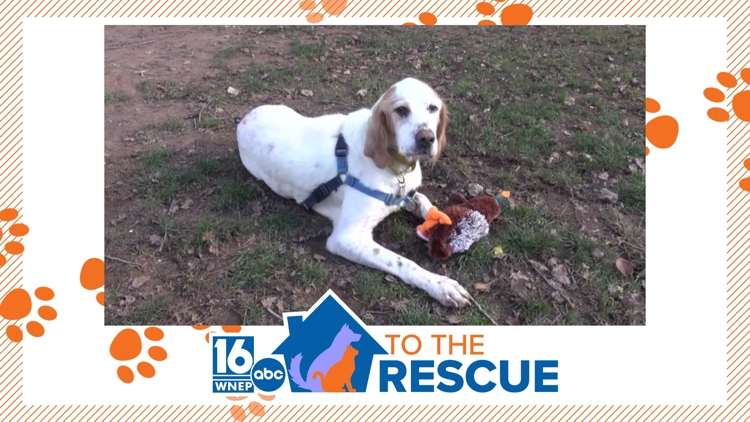 16 To The Rescue: Sunny