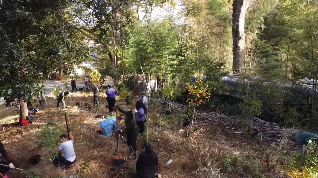 Georgia's rapid population growth is taking a toll on its tree canopy