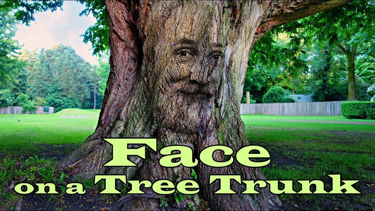 Photoshop: How to Create a Face on a Tree Trunk.