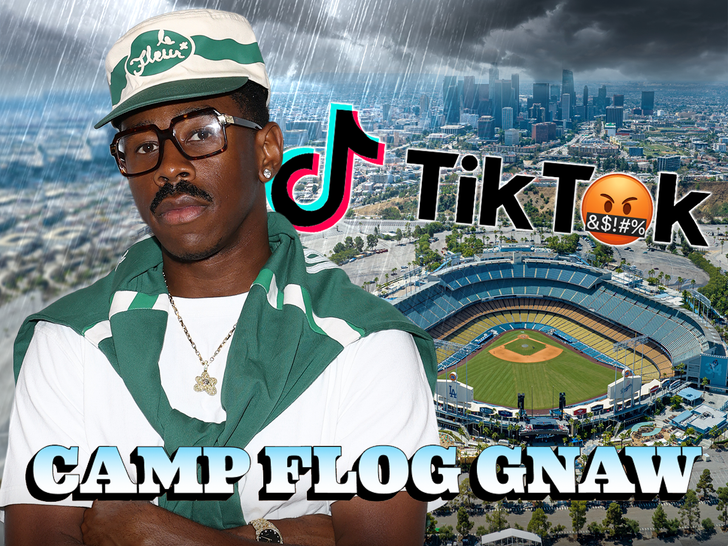 Tyler, The Creator Postpones Camp Flog Gnaw Due to L.A. Rain, Fans Revolt