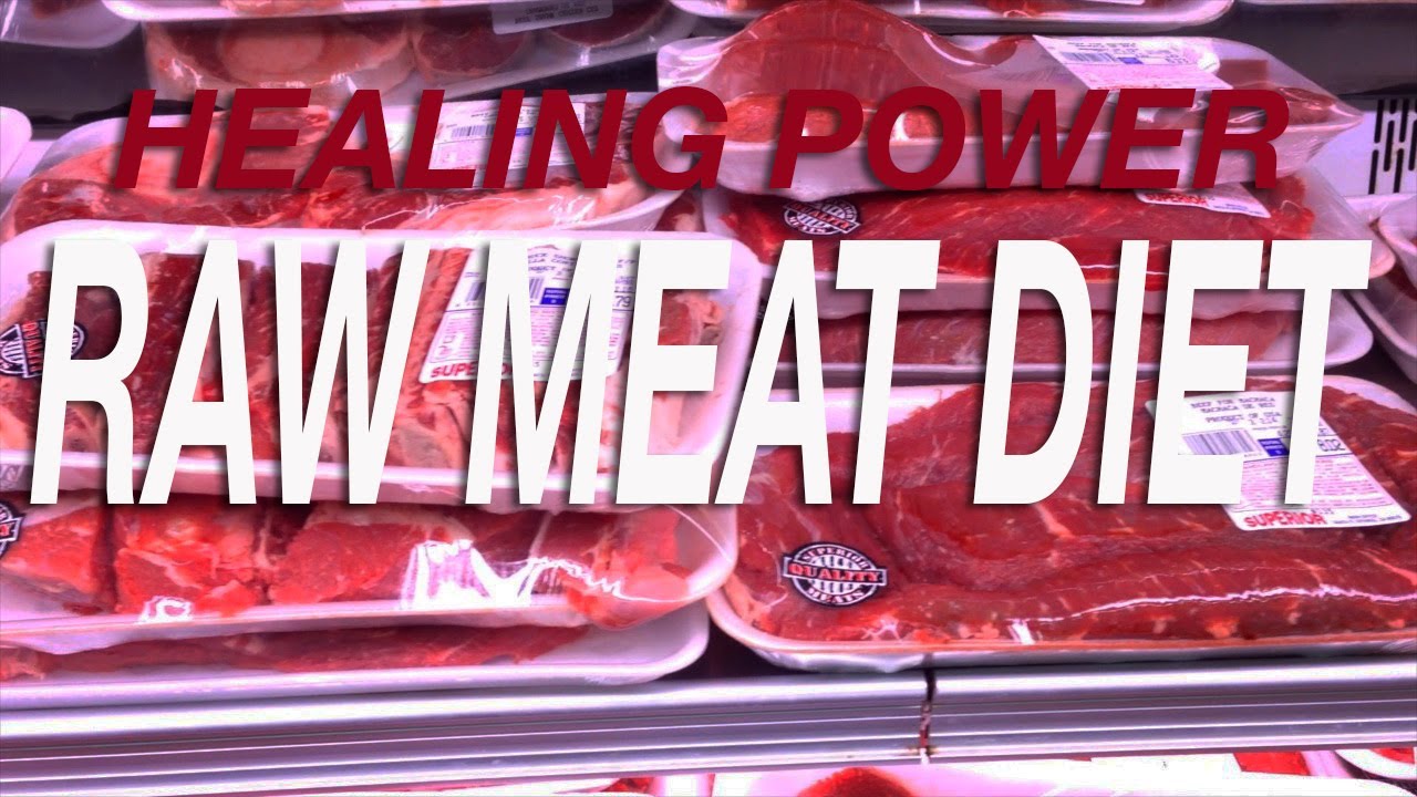 Why my dog is on a raw meat diet