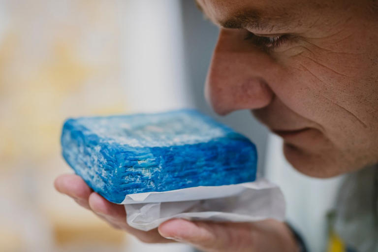 Heady odors and sensory overload as 5,200 cheeses compete for the World ...