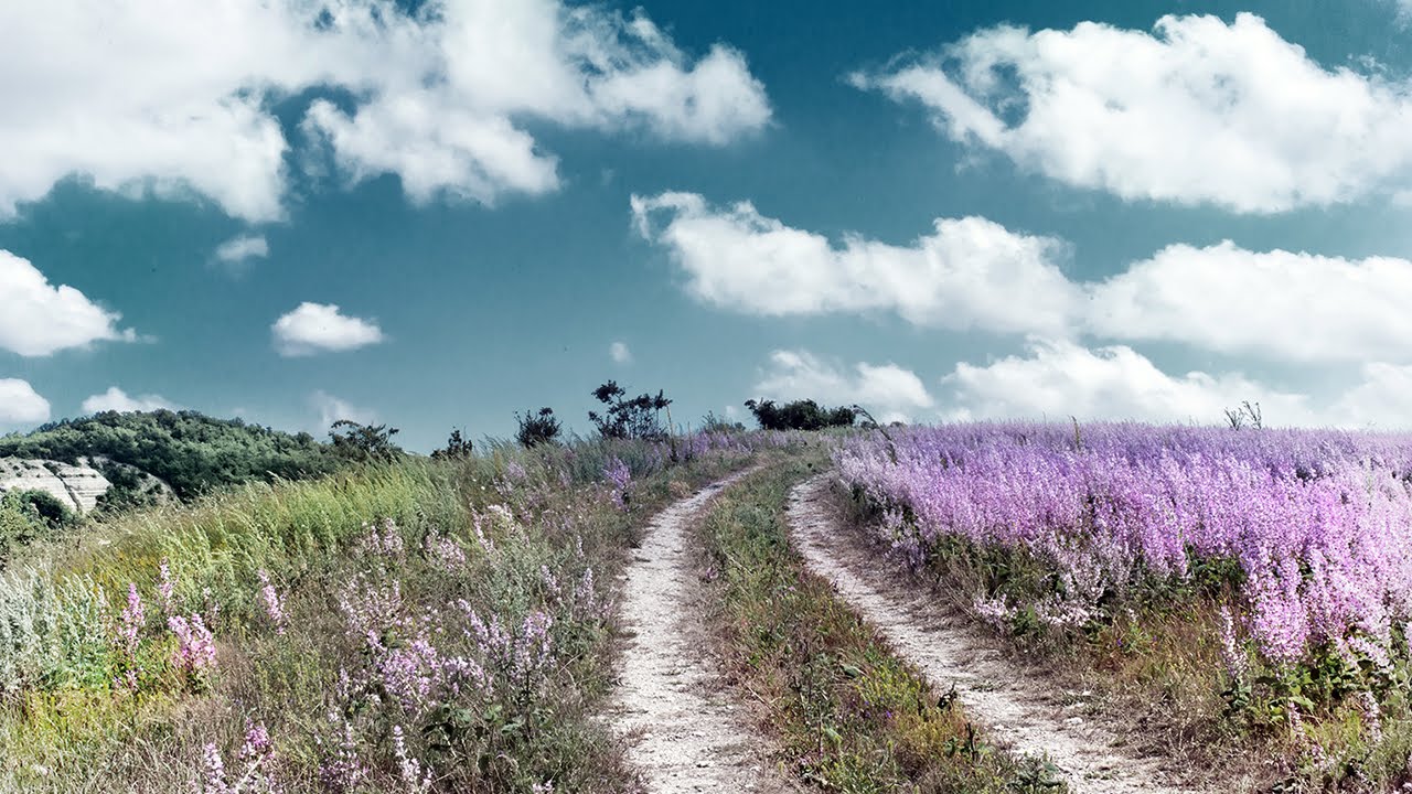 Photoshop tutorial: How to create the look of hand-painted photos!