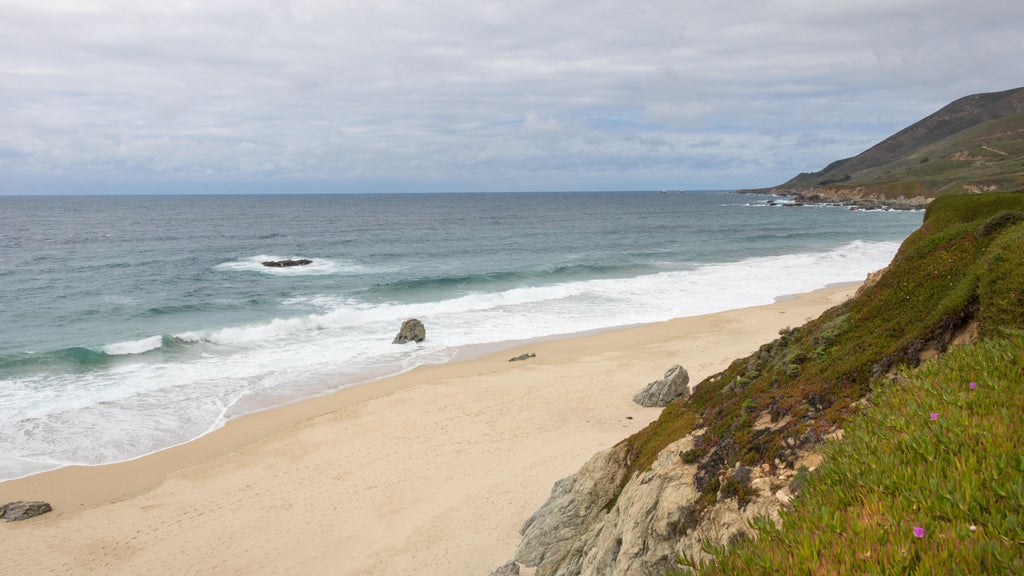 Father dies, 5-year-old daughter missing after family swept into ocean ...