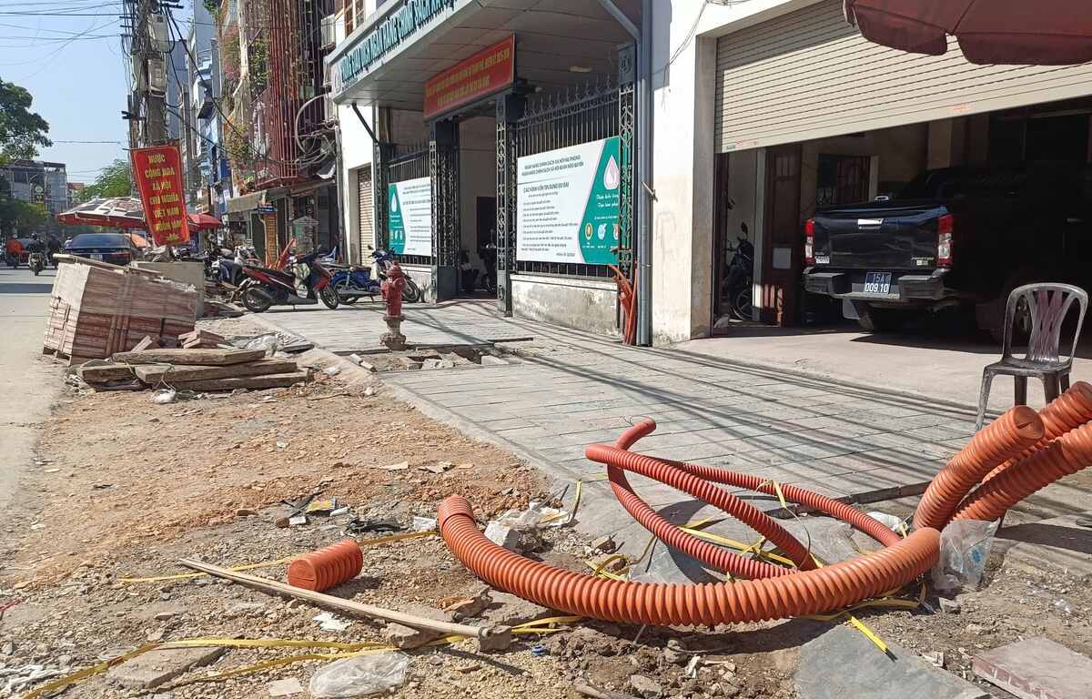 Người dân phố trung tâm Hải Phòng mong Tết không còn cảnh đào đường