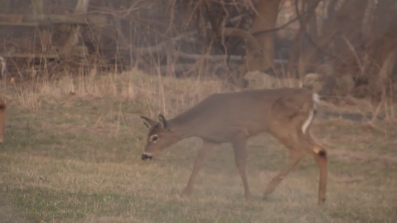 NEWS10 on FOX 23 at 10 PM