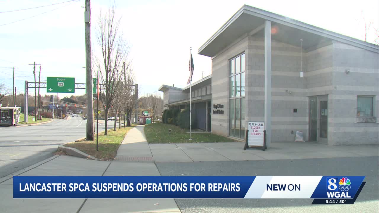 HVAC breakdown forces Lancaster SPCA to temporarily shut its doors