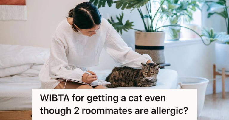 Young Woman Wanted To Get Her Own Cat, So She Asked Her Roommates And ...