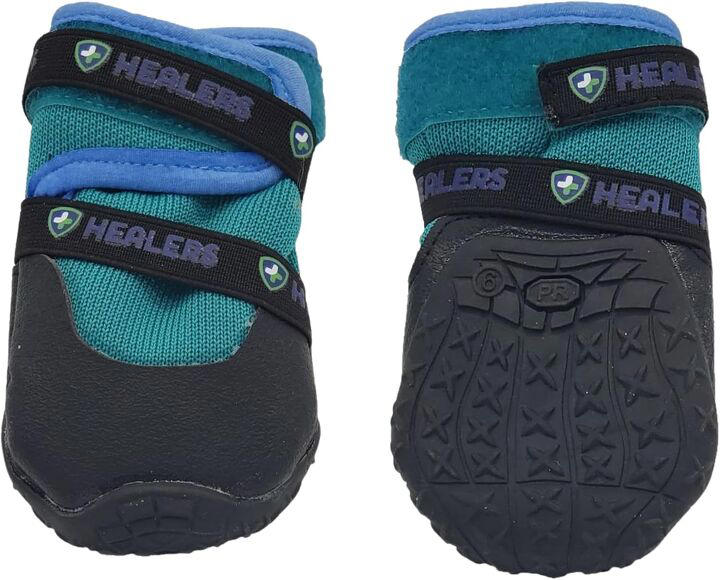 How To Get Your Dog Used to Wearing Boots