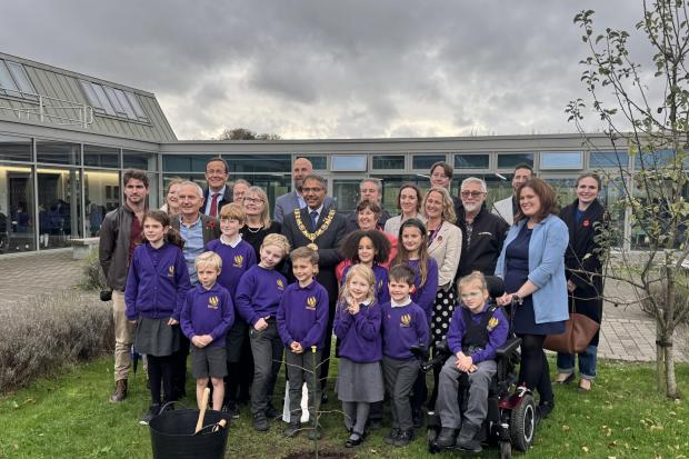 Tree grown from seeds that survived atomic bomb finds new home