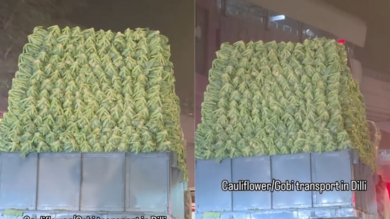 Mumbai man records bizarre cauliflower transport in Delhi: ‘Ghar lakar ...