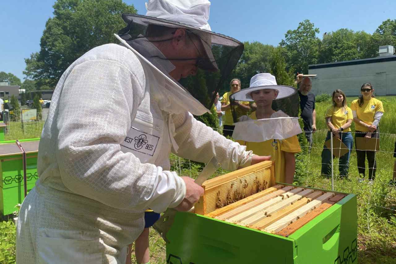 How to Get Workers Back to the Office? Fresh Air, Bees, and Farmers ...
