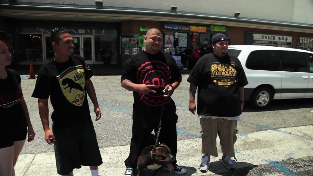 Silver State Pet Shop - Compton, CA