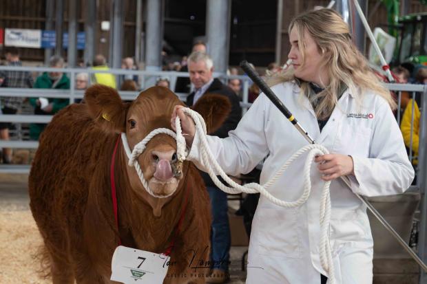 Supreme champions win big at Helston Fatstock Show: RESULTS