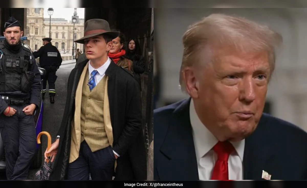 French Embassy's Witty Response To Trump With Louvre Detective Meme ...