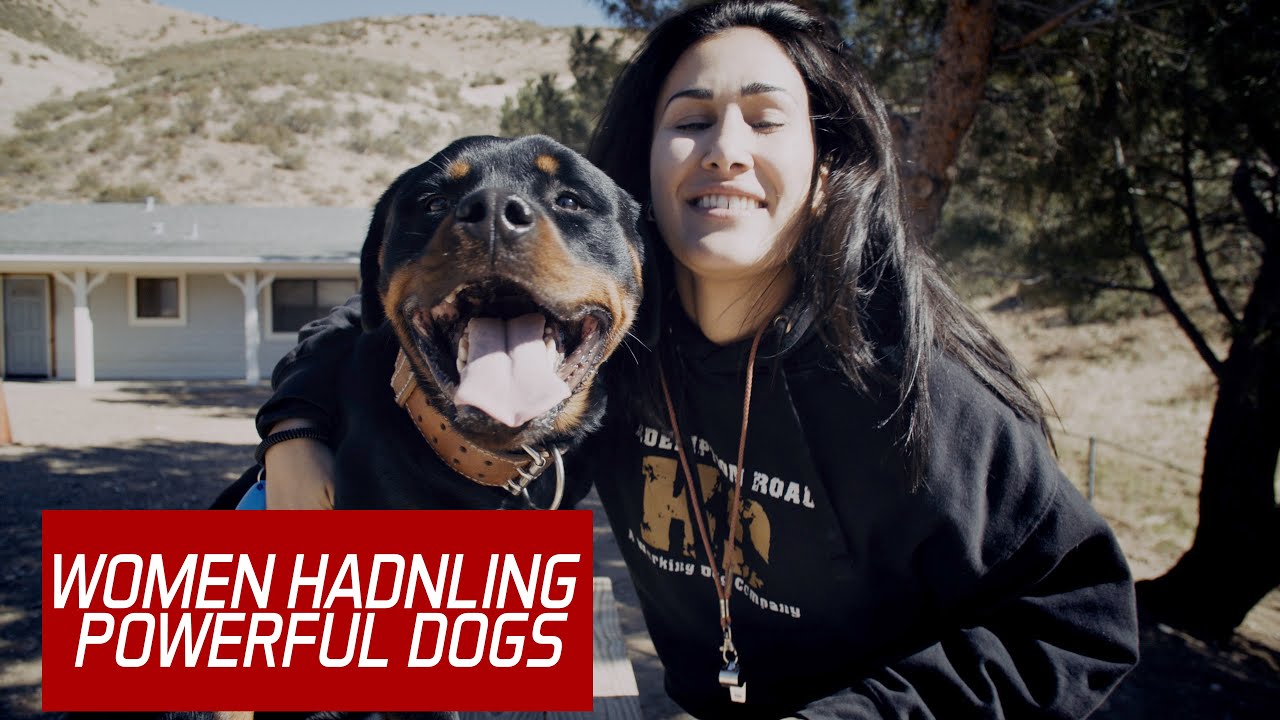 Women handling powerful breeds: Rottweiler