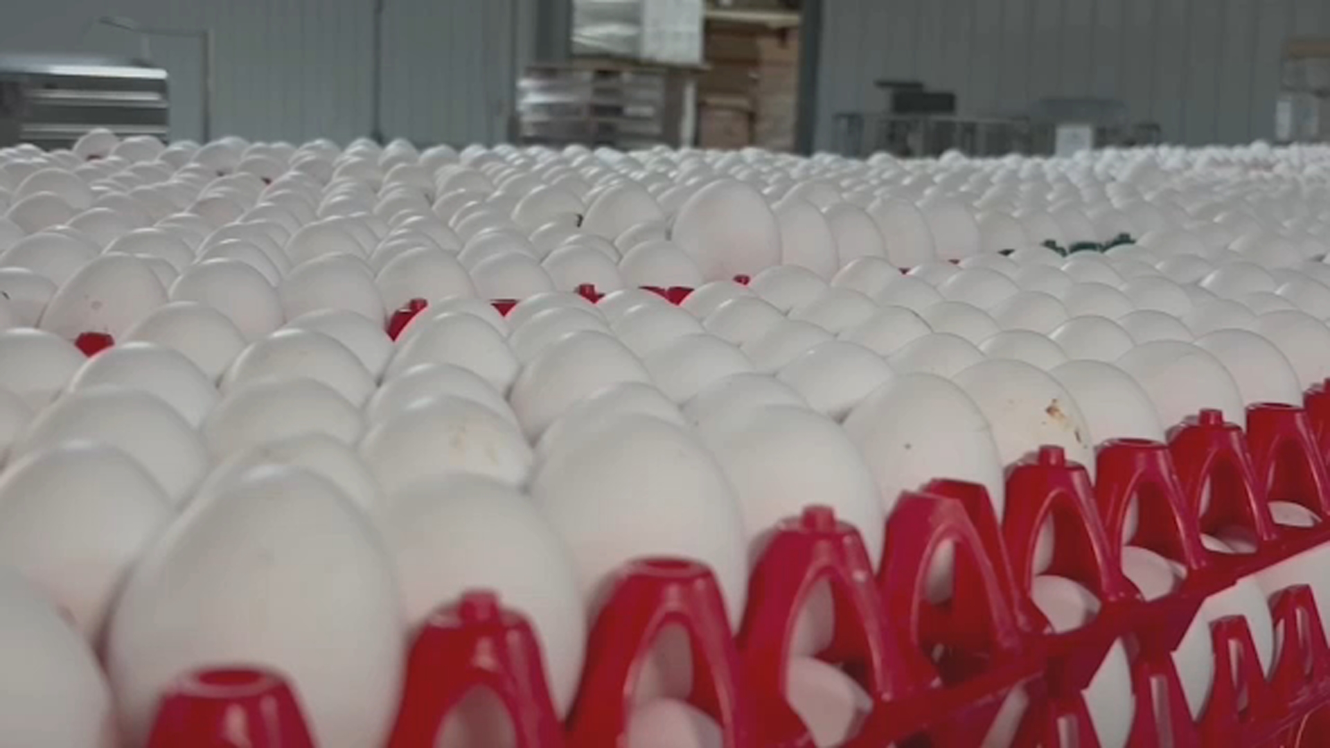 North Carolina Made: Braswell Family Farms continues 80-Year North ...