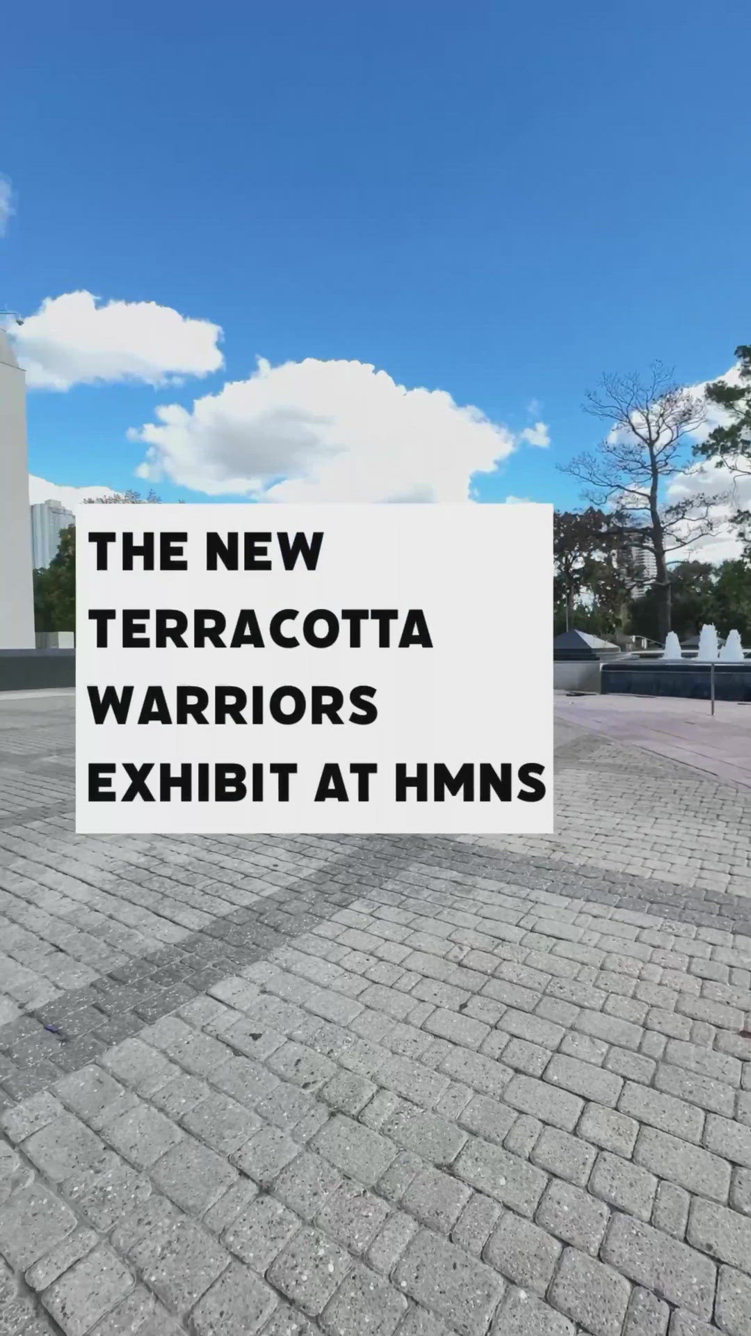 New Terracotta Warriors exhibit at Houston Museum of Natural Science