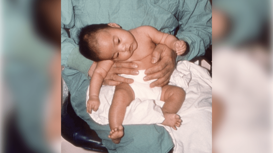 UDAF issues health advisory after baby formula recall linked to infant ...