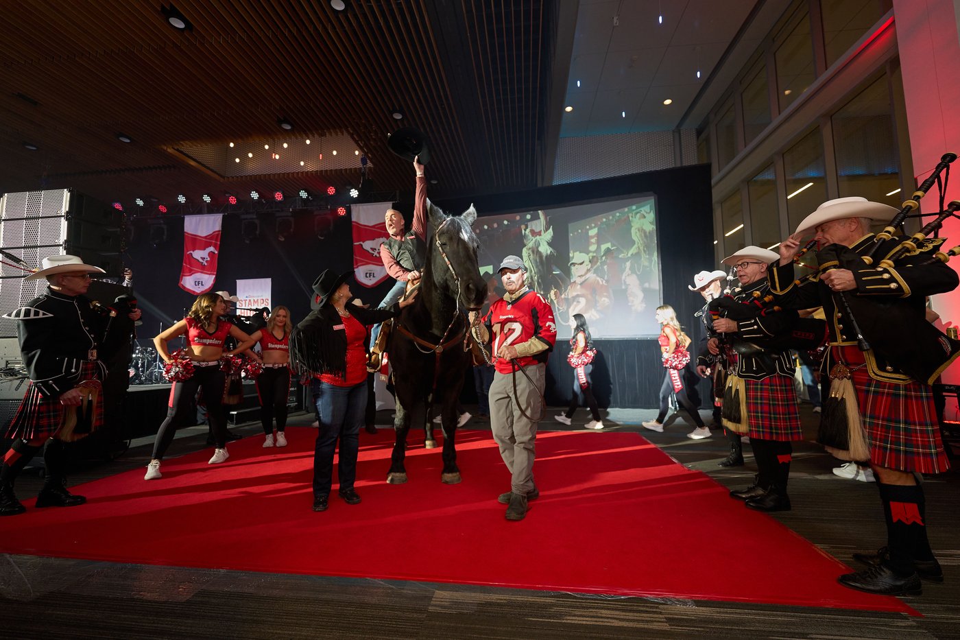 Photo Gallery: Grey Cup horse Tuffy Nuff arrives in Winnipeg